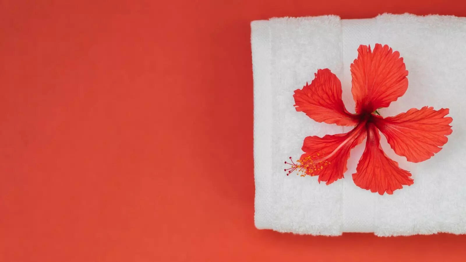 How To Make Natural Hibiscus Blush At Home