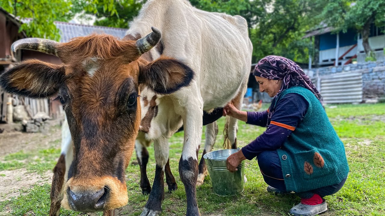 An Ordinary Morning in the Village | Traditional Family Breakfast