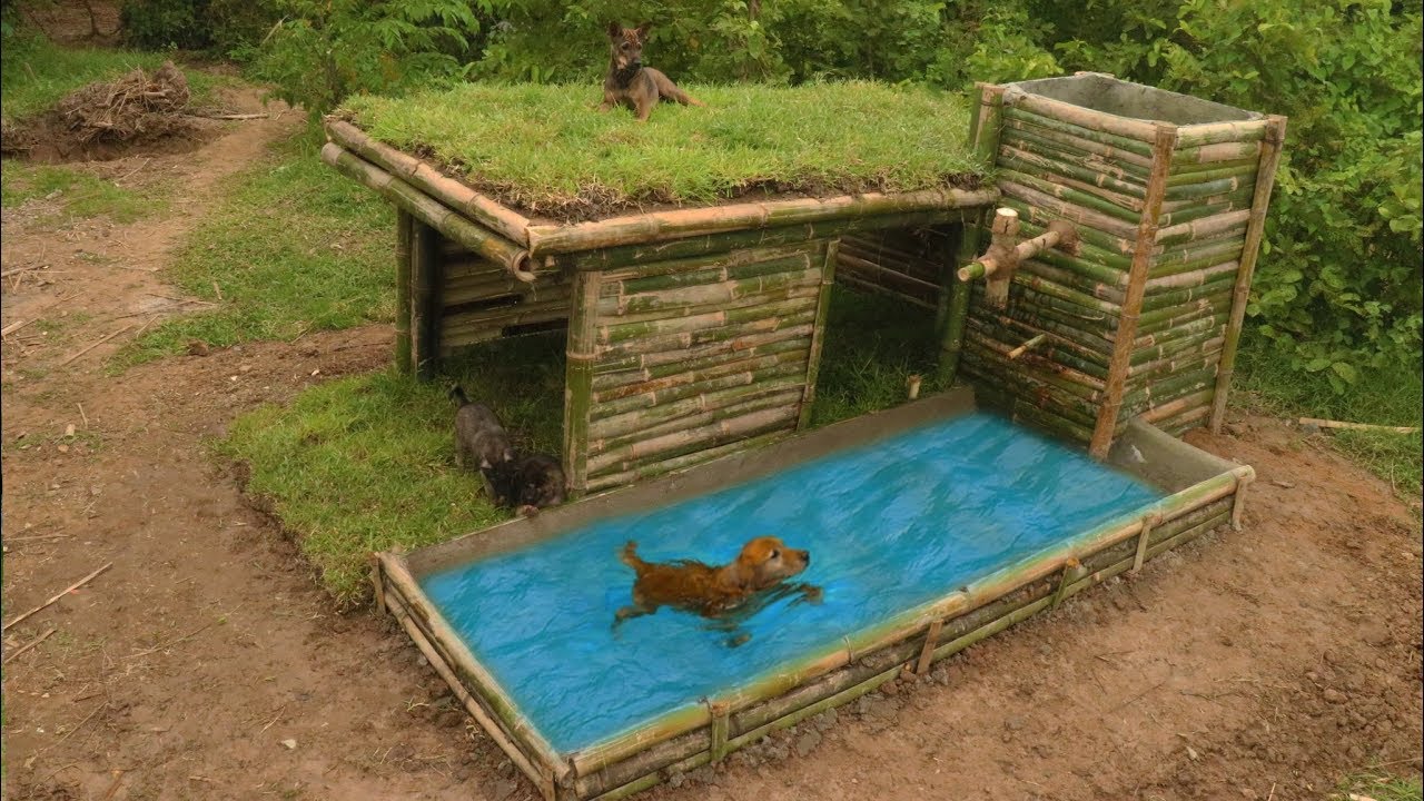 A stunning jungle dog house with a natural shower pool built entirely ...