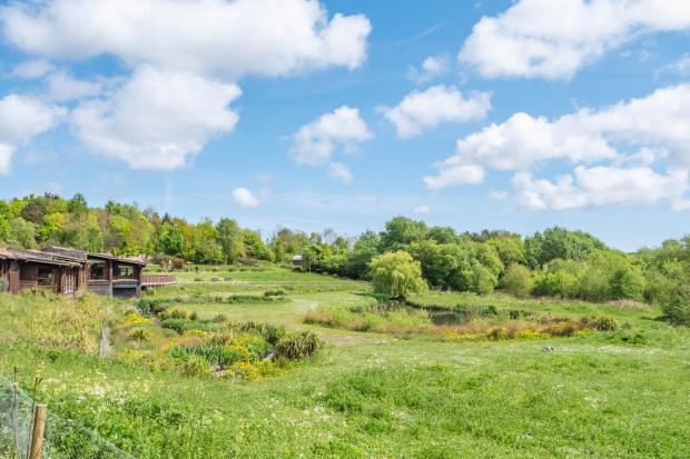 Popular North East nature reserve set to celebrate 50th birthday