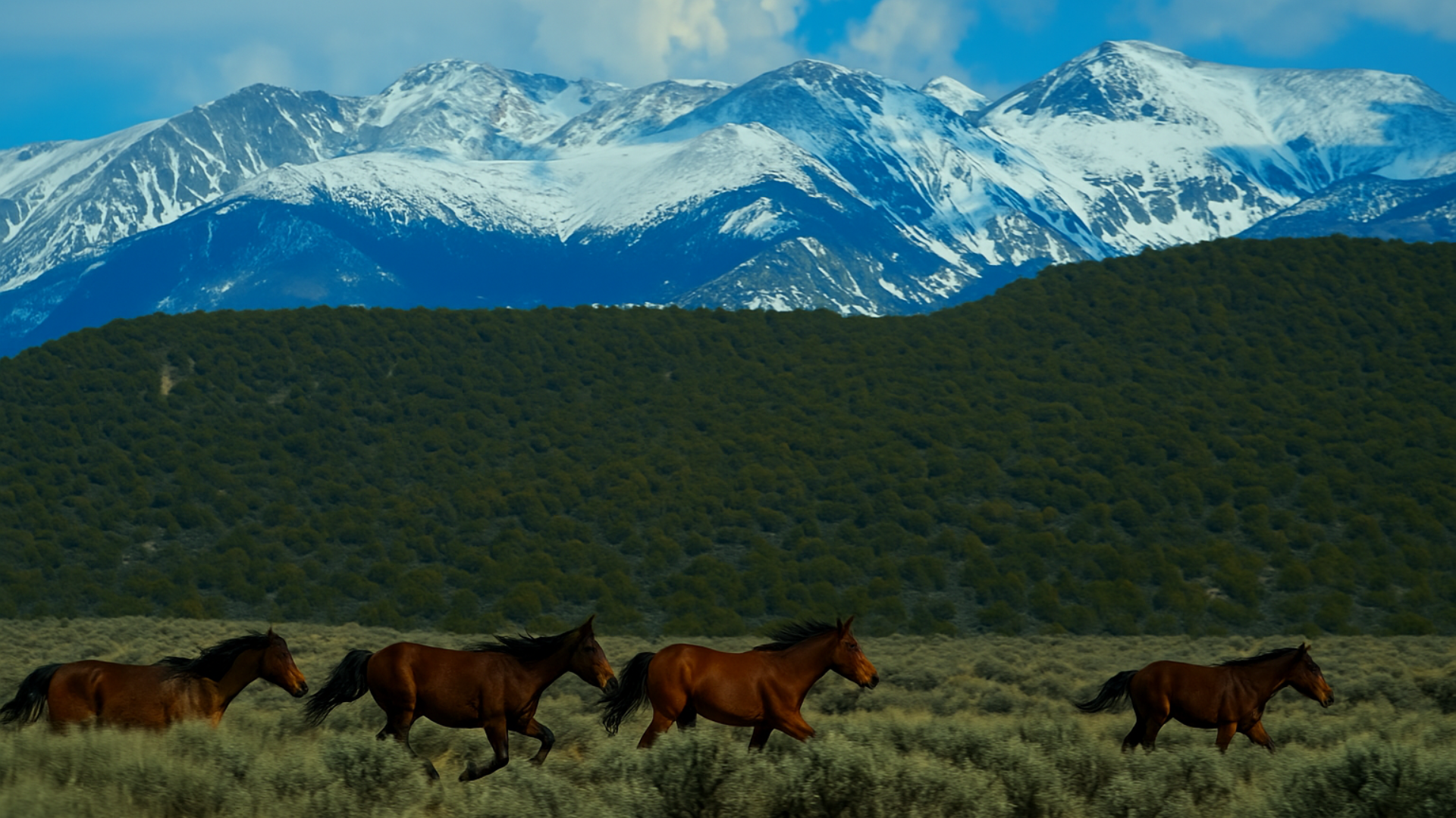 Dolby Vision™ 8K HDR Nature Film | Ultra HD Travel Experience in ...