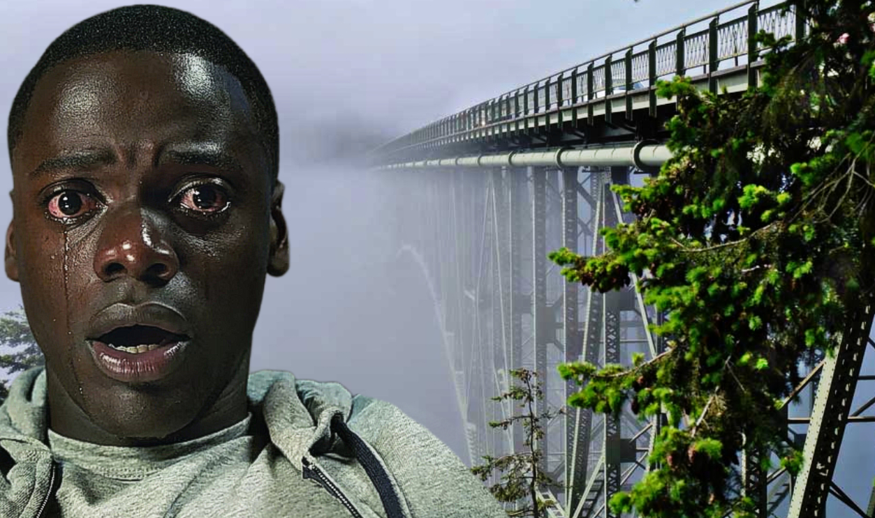 The World's Scariest Bridges—Would You Drive On Them?