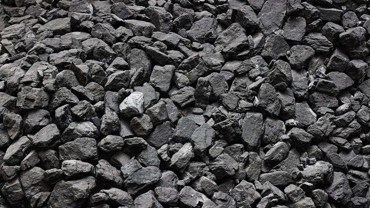 Wie entsteht Kohle? Einfach und übersichtlich erklärt
