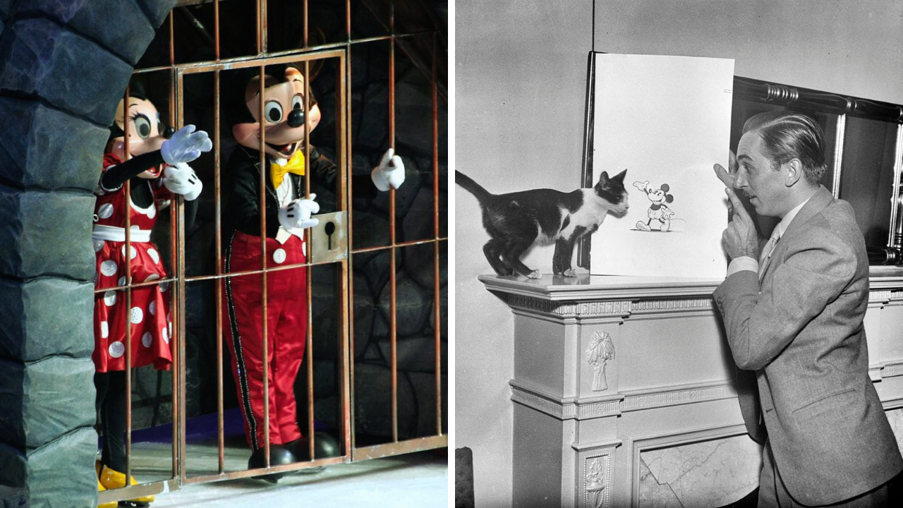 30 Behind the Scenes Secrets From Disney Parks Workers