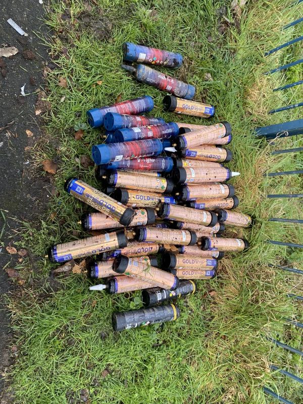 Volunteer stunned after discovering bizarre scattered objects during ...