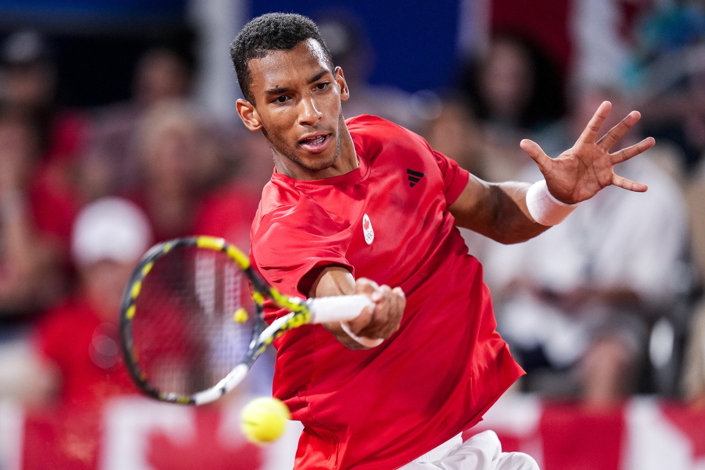 Auger-Aliassime, Shapovalov et Diallo sont dans le même quart de ...