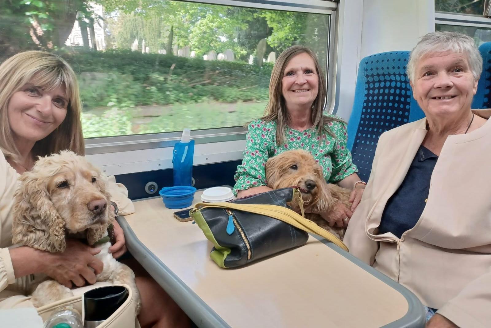 More than 100 people turn out for ride on Forget Me Not train between ...