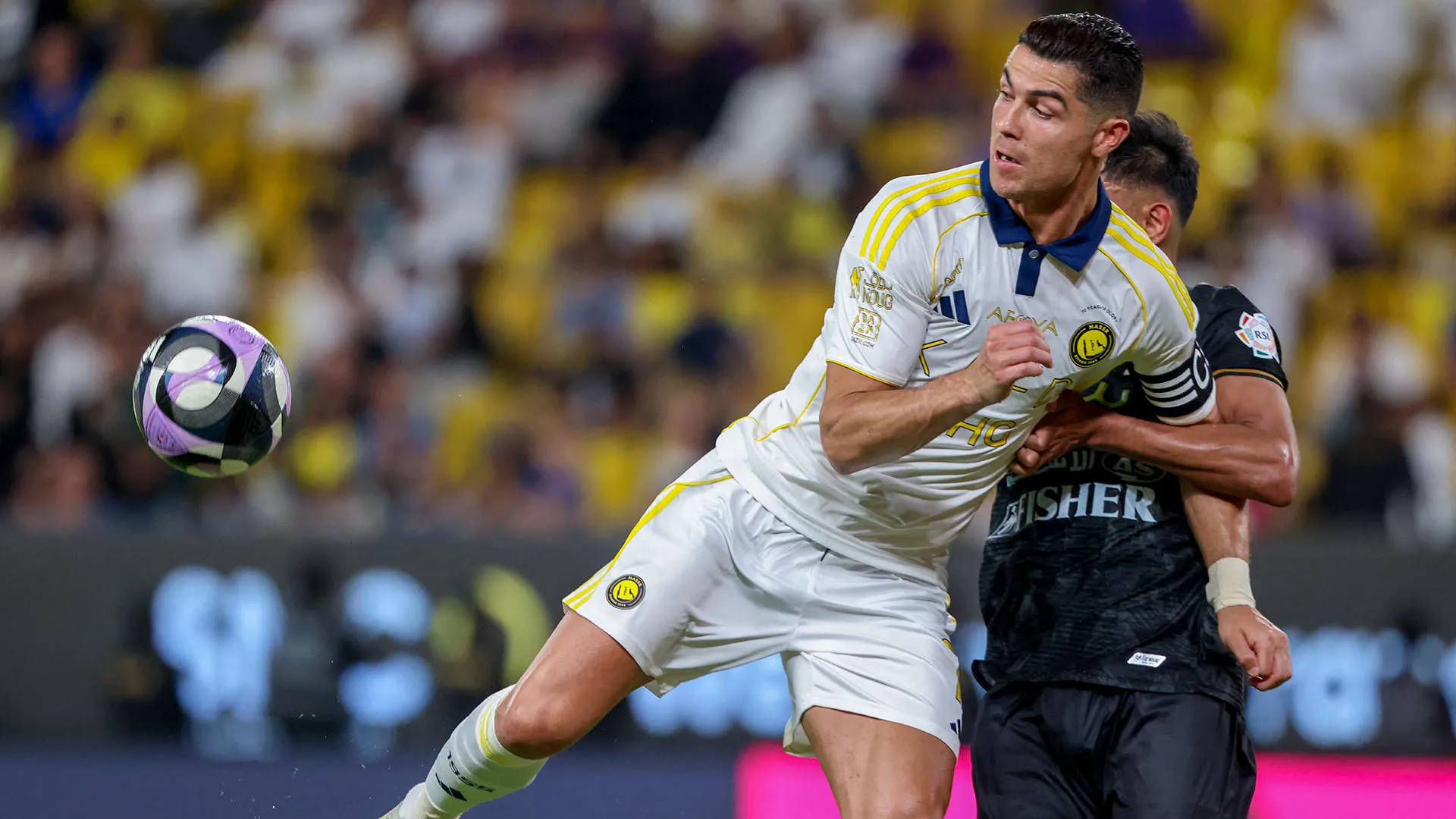 10 animals known for their speed