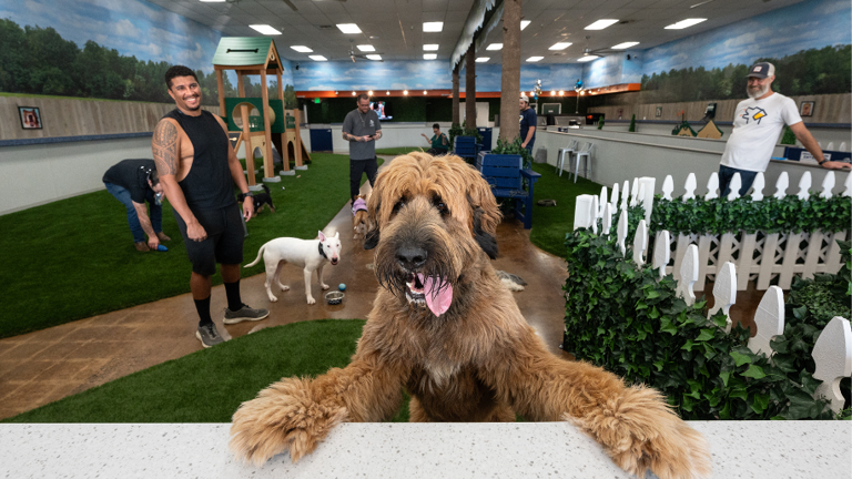 Where are dog-friendly bars, breweries in Modesto? See top places to ...