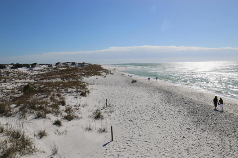 Where did Florida beaches rank in Dr. Beach's 2025 list of Top Ten ...