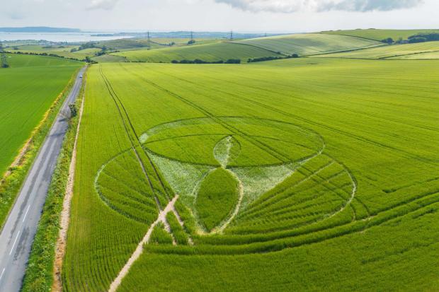 Stunning aerial shots of mysterious crop circle