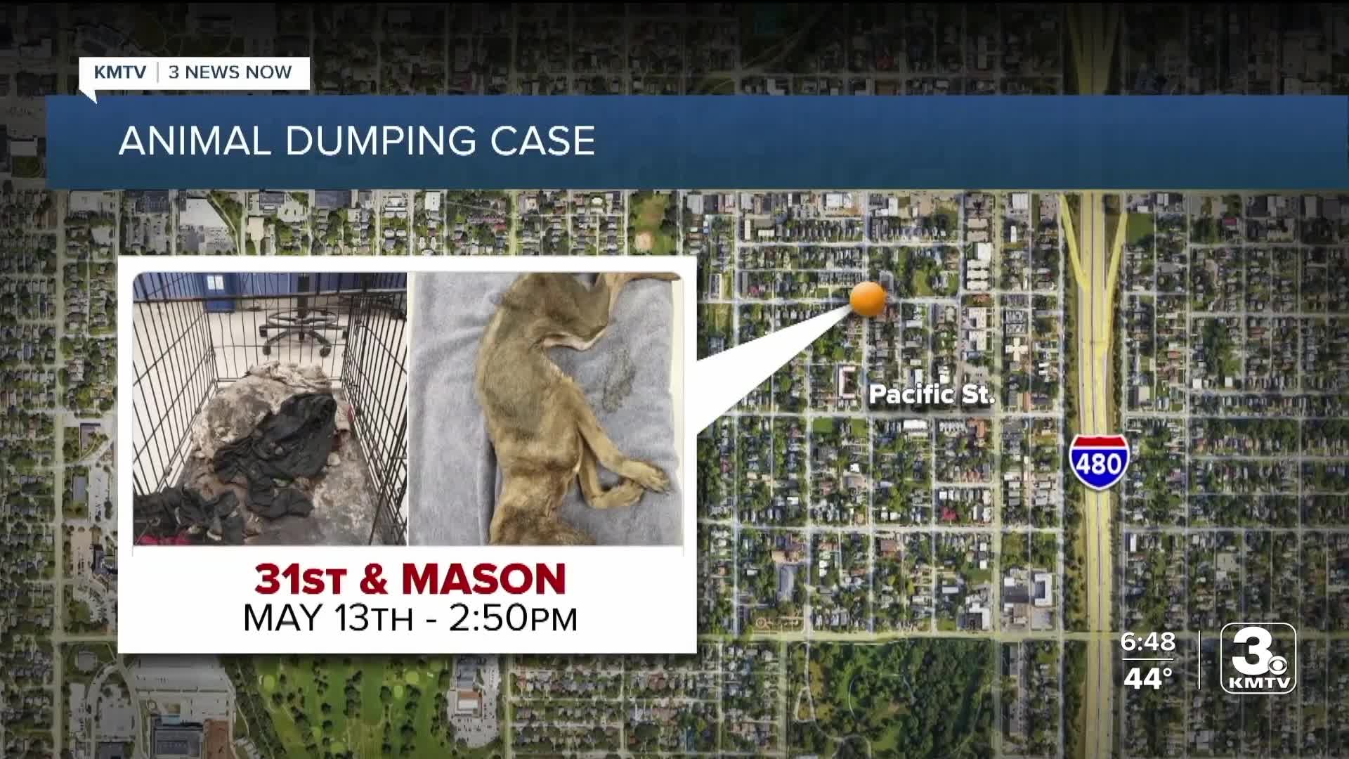 Neighborhood Check-In May 22, 2025