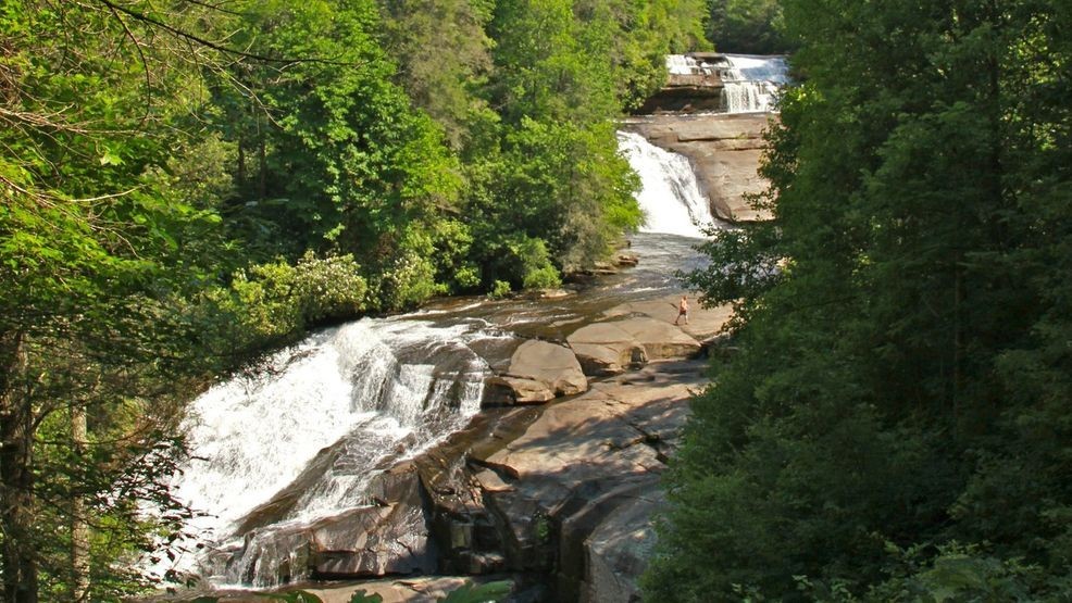 Popular DuPont State Recreational Forest trail reopens after post ...