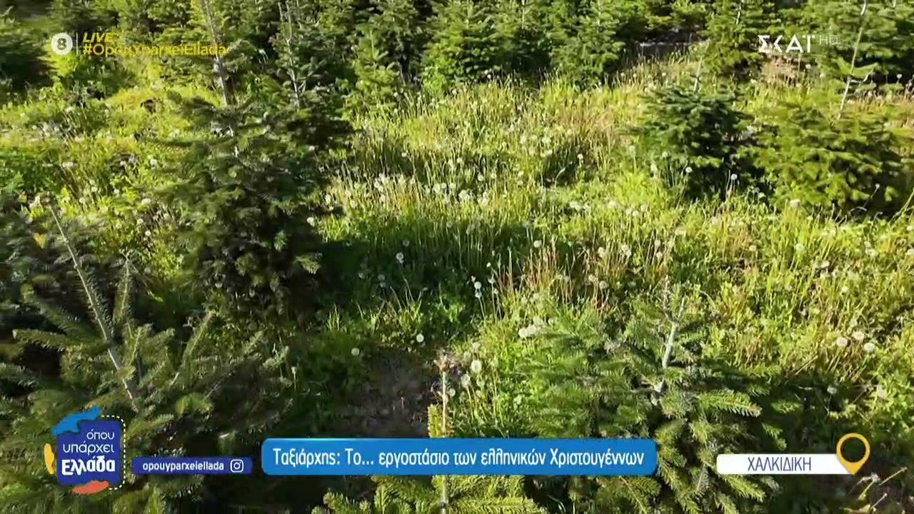 Ταξιάρχης: Το... εργοστάσιο των ελληνικών Χριστουγέννων