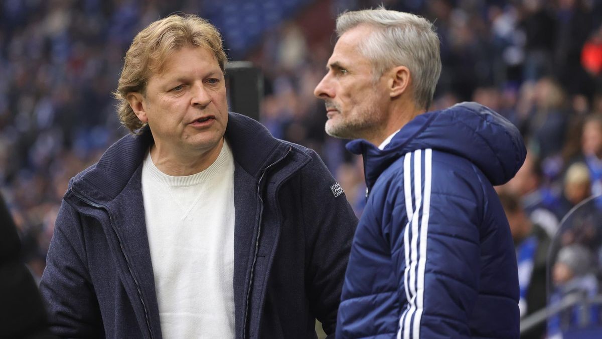 Youri Mulder: So ist der Stand bei Schalkes Trainersuche