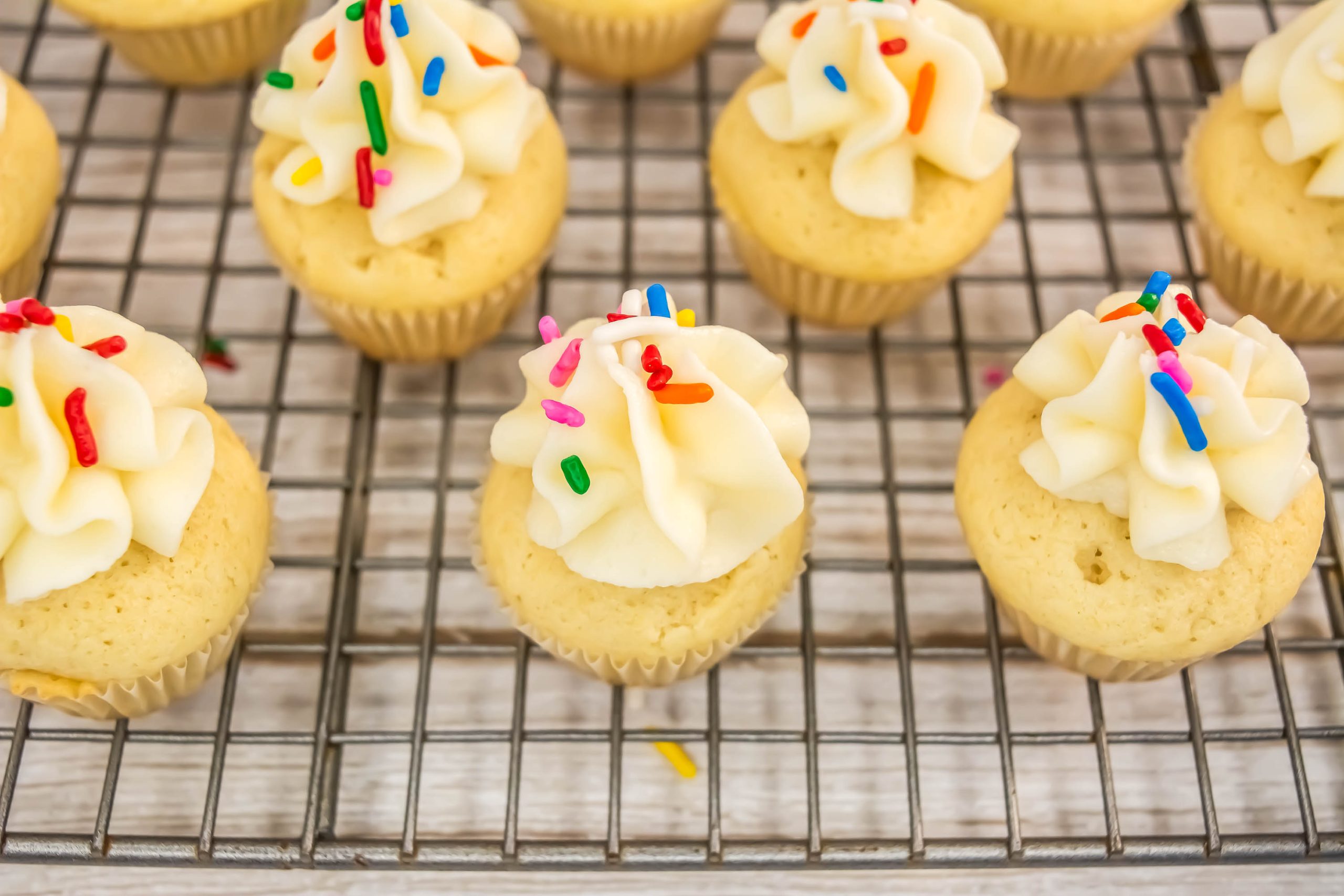 19 Easy and Fun Cupcake Recipes