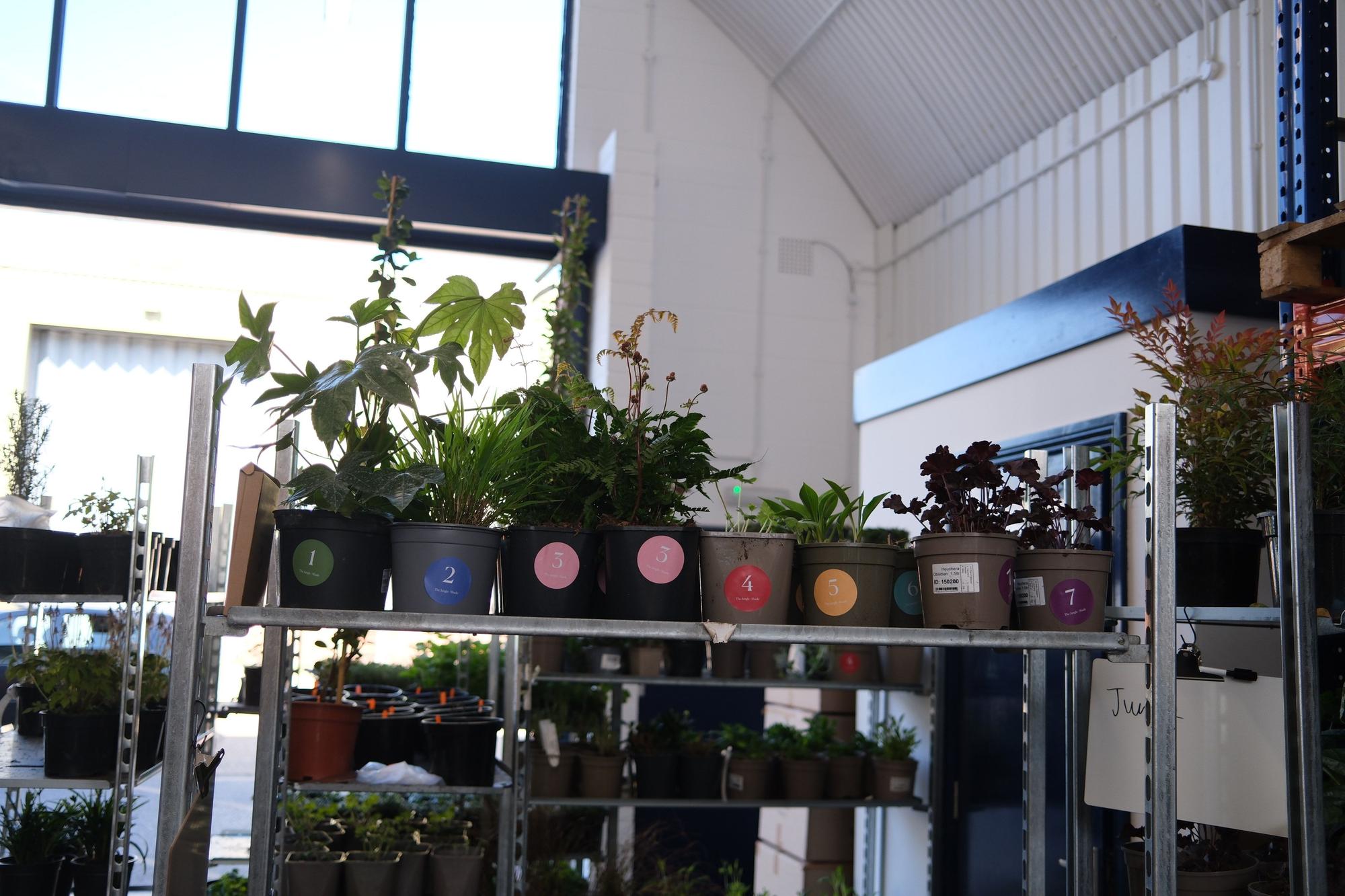 Dragons’ Den start-up Dig sees tenfold growth and London expansion