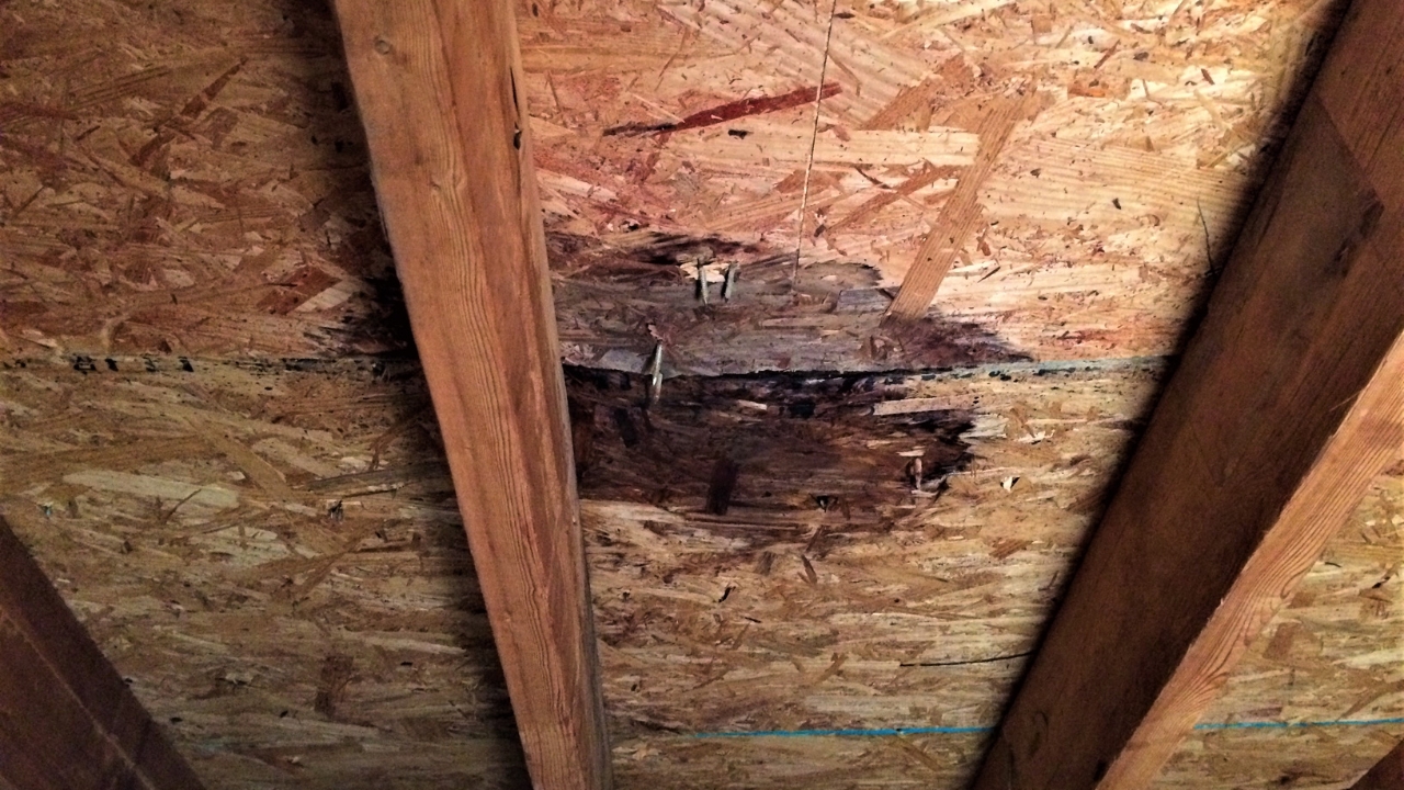10 tips for finding and fixing roof leaks