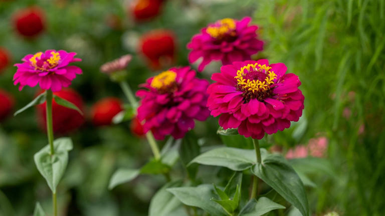 How to run an antivirus scan on your computer