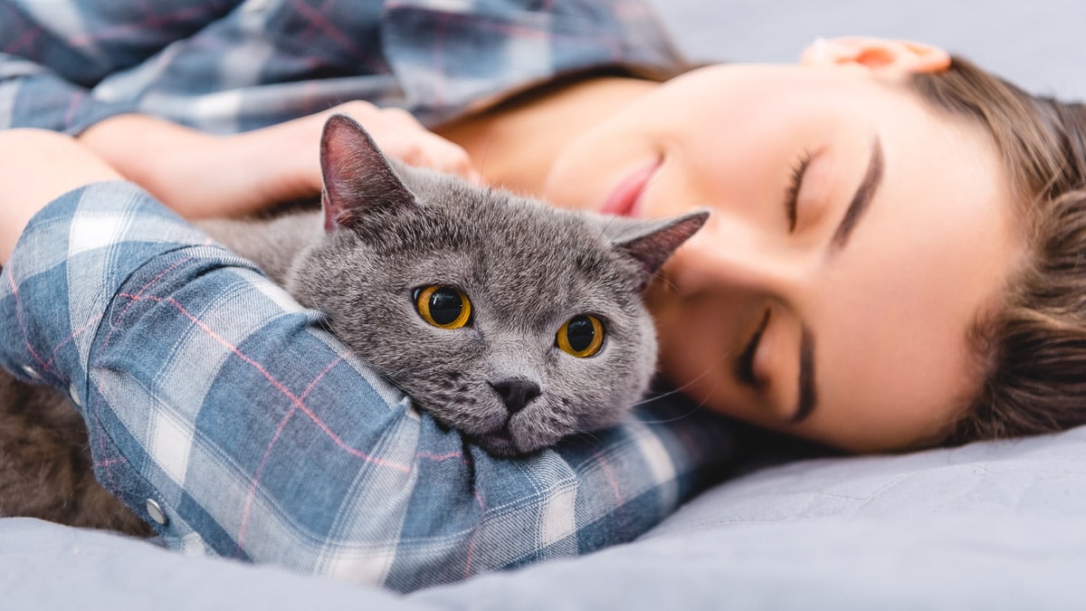 When your cat chooses to sleep with you, here’s what it actually means