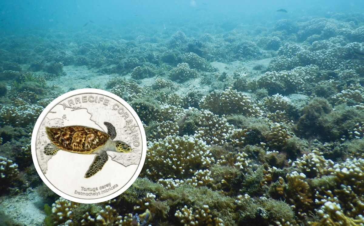 Cómo es la nueva moneda de 50 colones