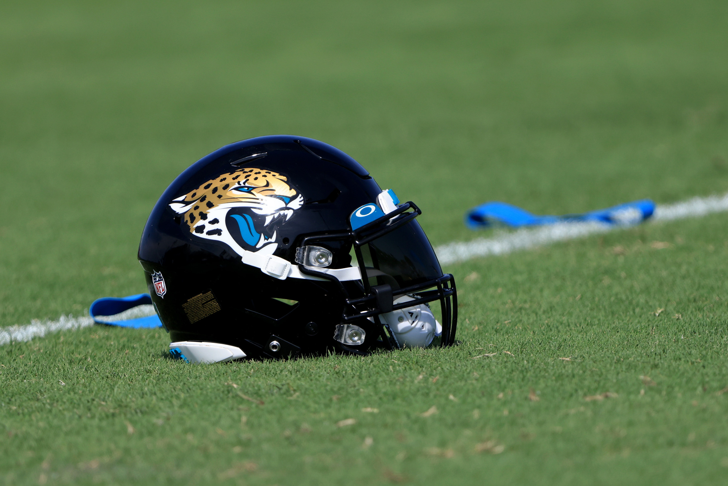 How to Buy Jacksonville Jaguars Chubbies Swim Trunks: Shop NFL Chubbies ...