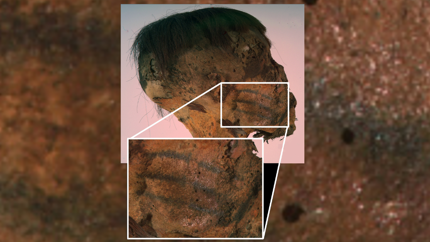 Rare face tattoos on 800-year-old mystery mummy baffle archaeologists