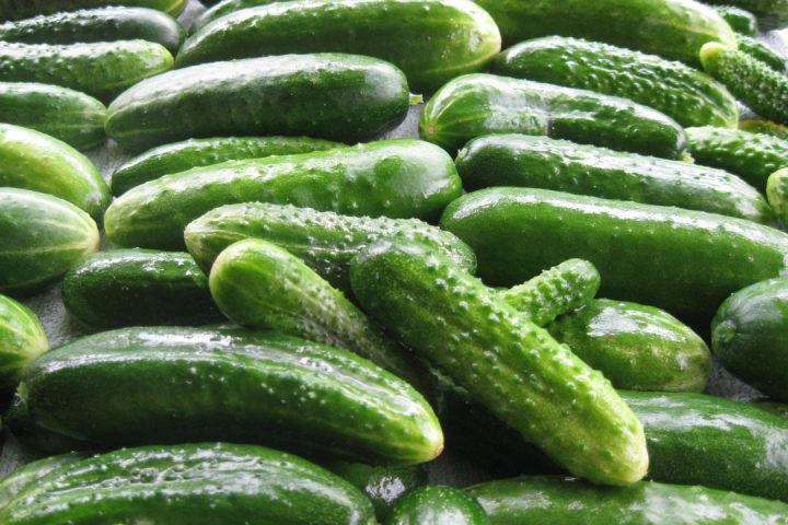 Cucumber Recall Hits the Family Fridge Again After Salmonella Sickens ...