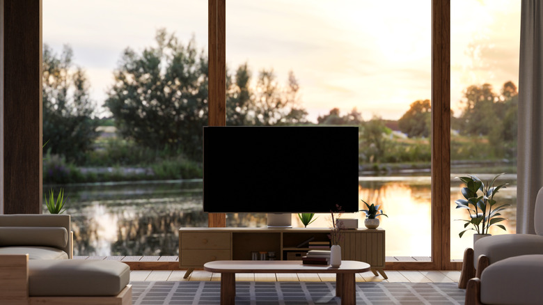 Should You Put A TV In Front Of A Window?
