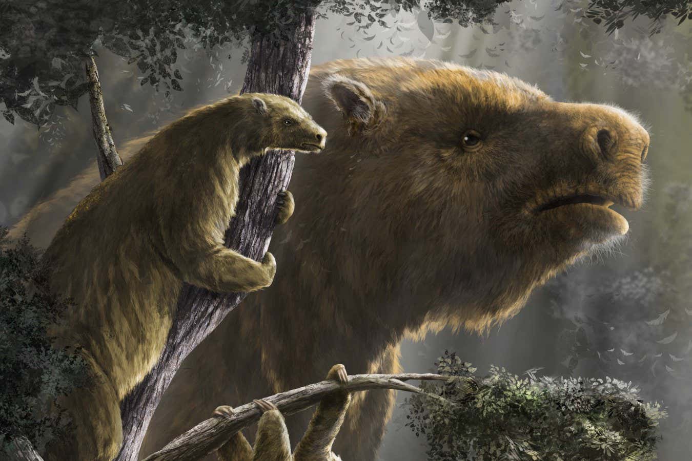 Giant ground sloths evolved three different times for the same reason