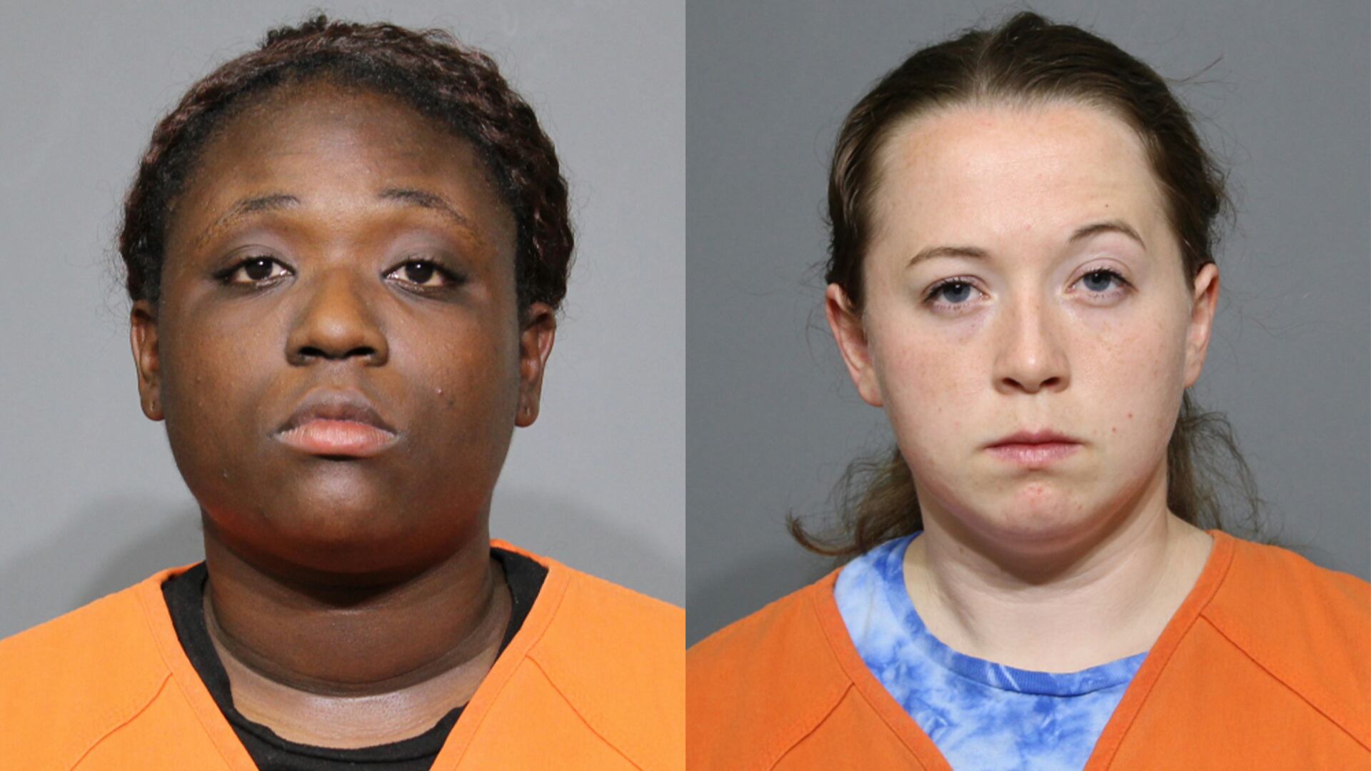 Pet rescue owner says animal abuse common in York County after couple ...