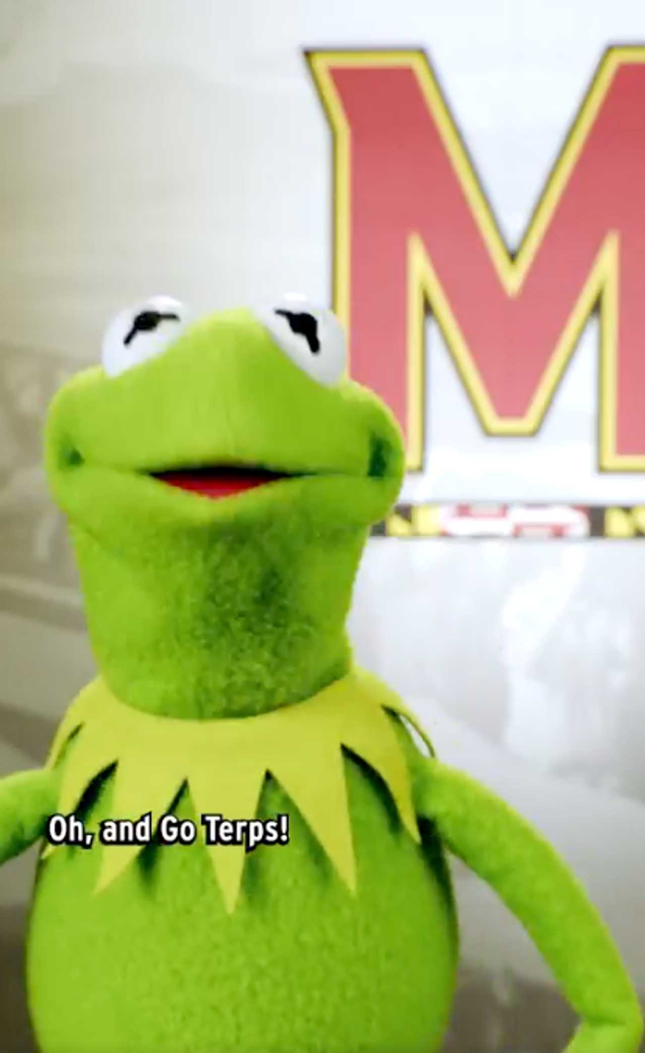 Frog Of Honor: Kermit Leads UMD’s Class Of 2025 Sendoff