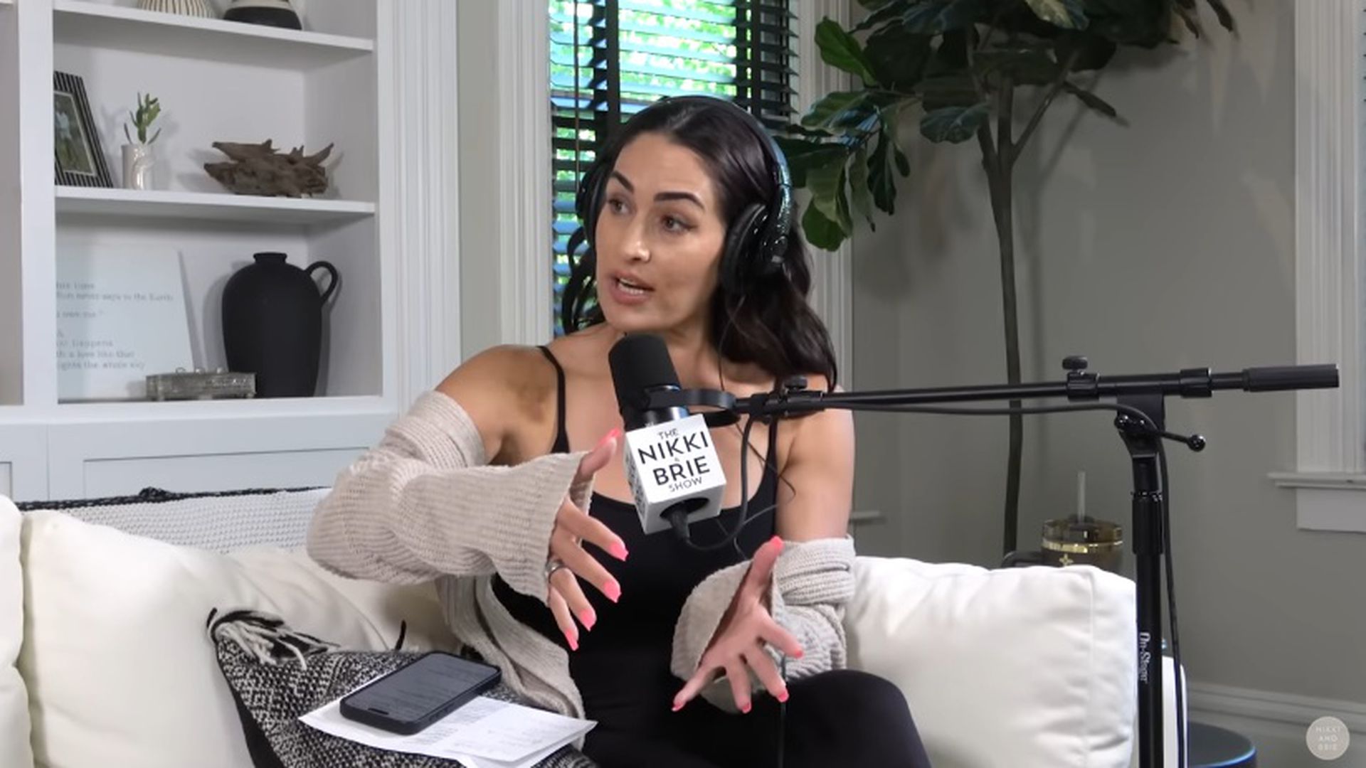 Nikki Bella calls her very expensive divorce settlement ‘a steal’