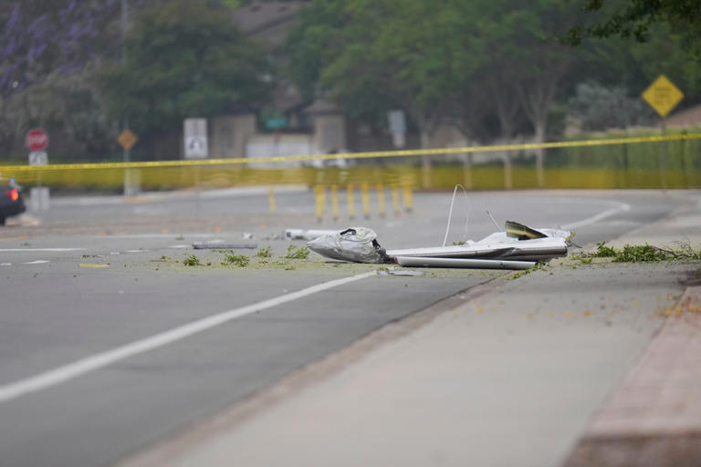 Famous talent agent among the dead in San Diego private jet crash