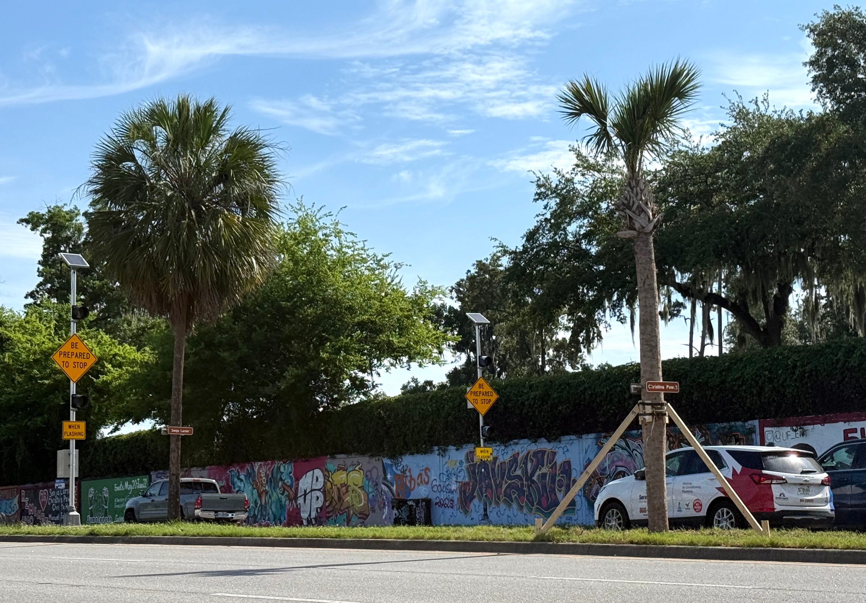 FDOT confirms lethal bronzing, replaces palm tree in memorial to 1990 ...