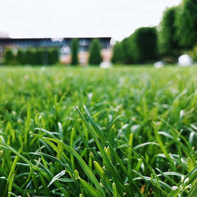 10 Signs of Dull Mower Blades You Shouldn’t Ignore