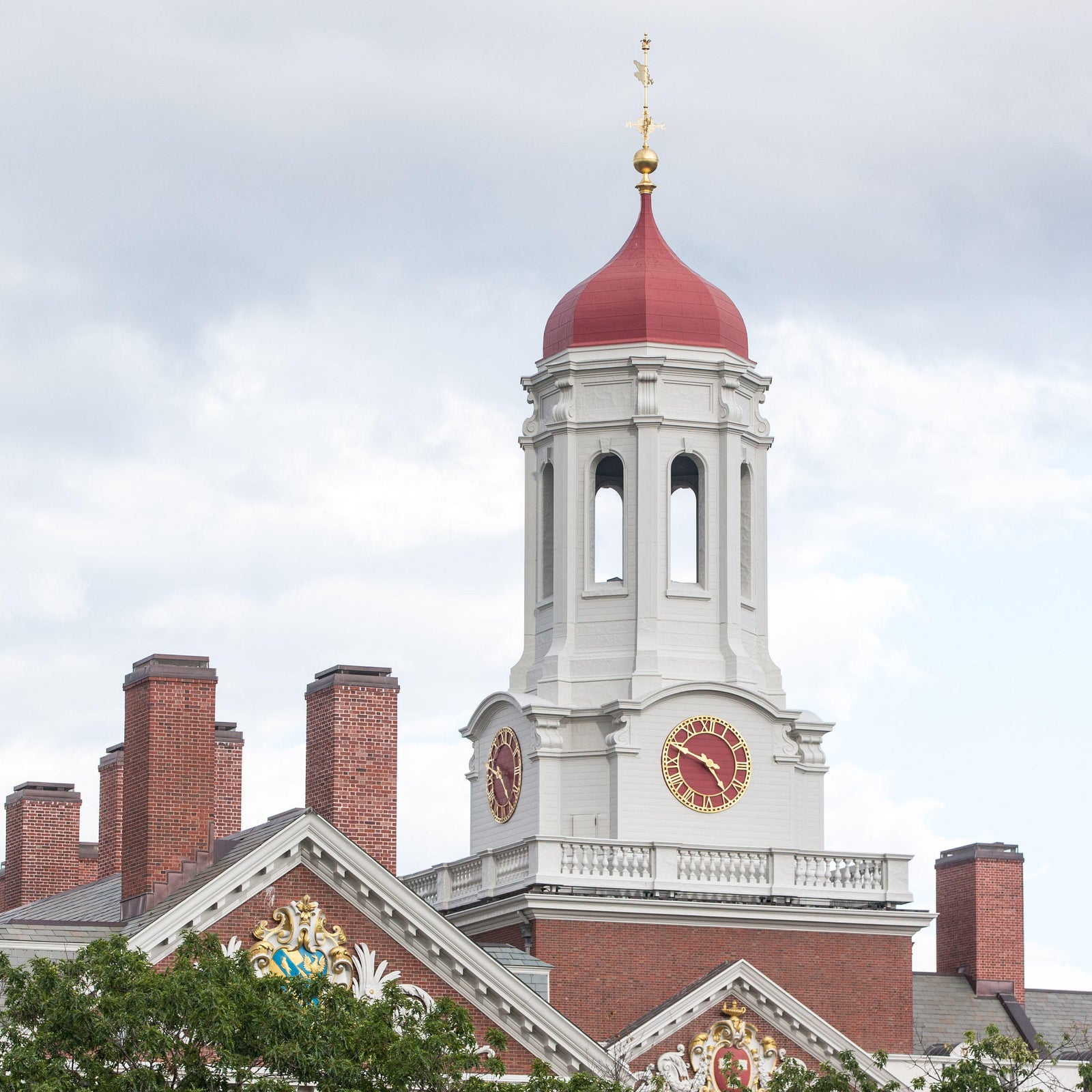 Trump admin says Harvard can no longer enroll foreign students