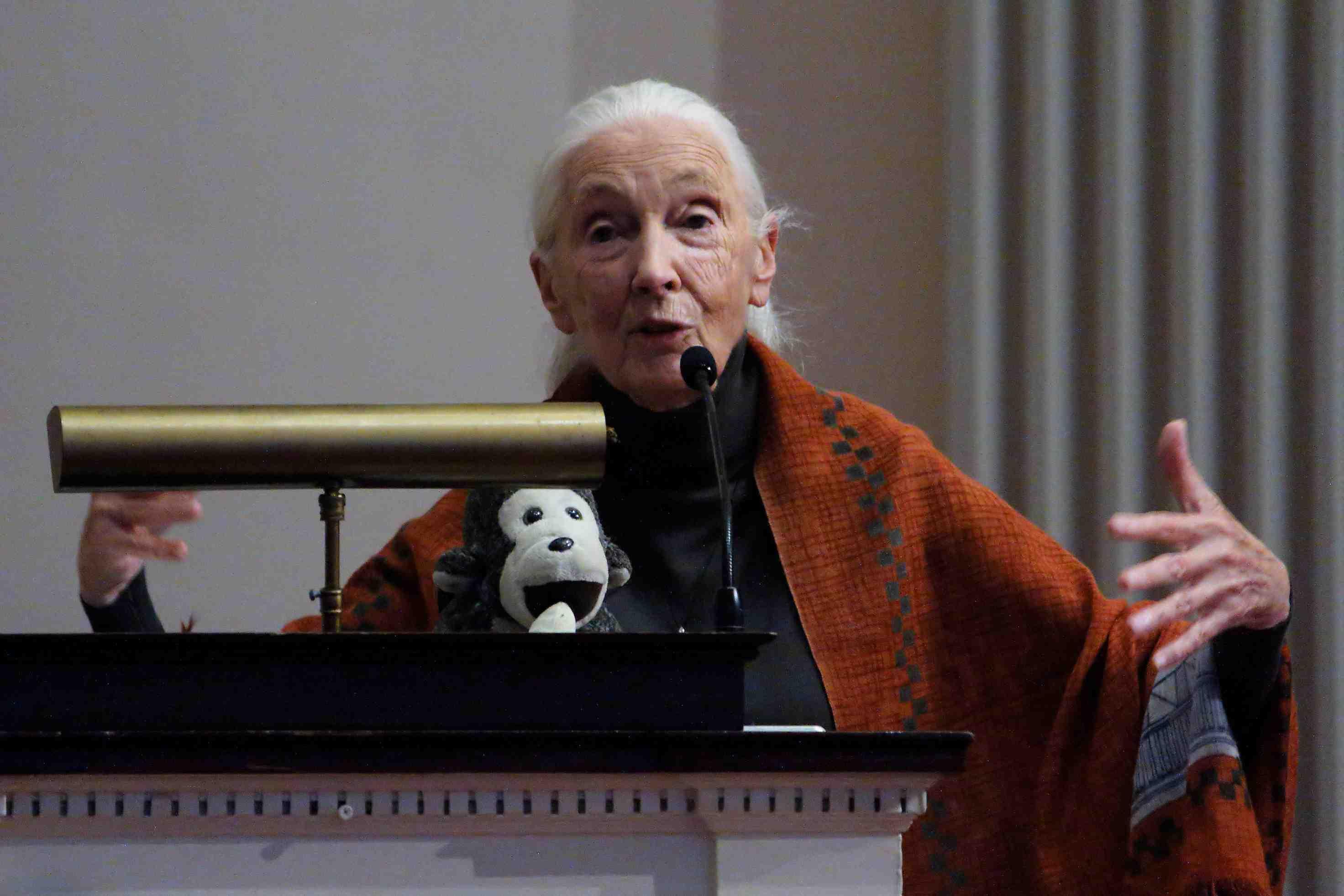 Here's Why Dr. Jane Goodall Stopped Eating Meat in the '60s