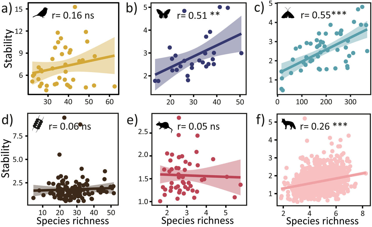 Diversity is key to ecosystem stability, says 20-year study