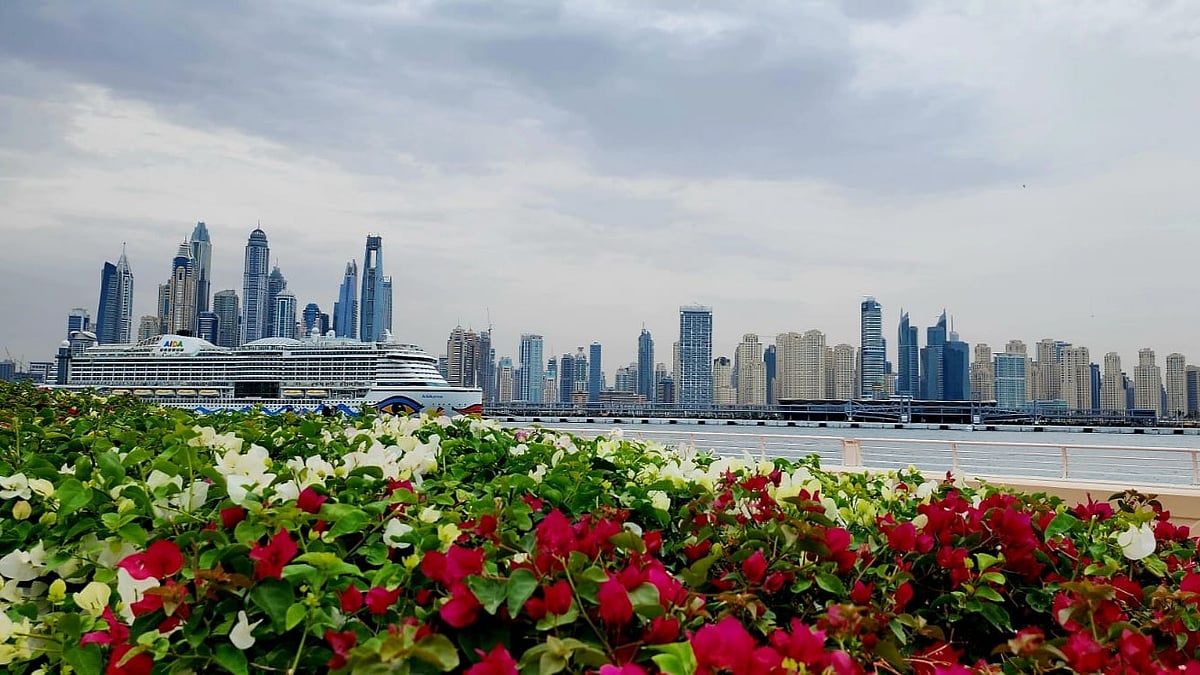 Readers’ gallery: Where cityscapes, sunrises, and stillness tell a story