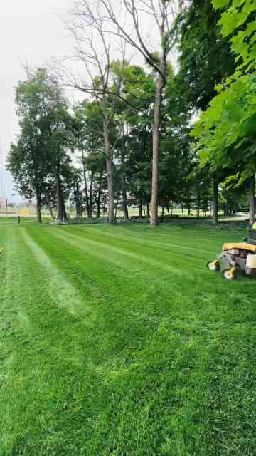 How I Revived a Neglected Lawn—Step by Step