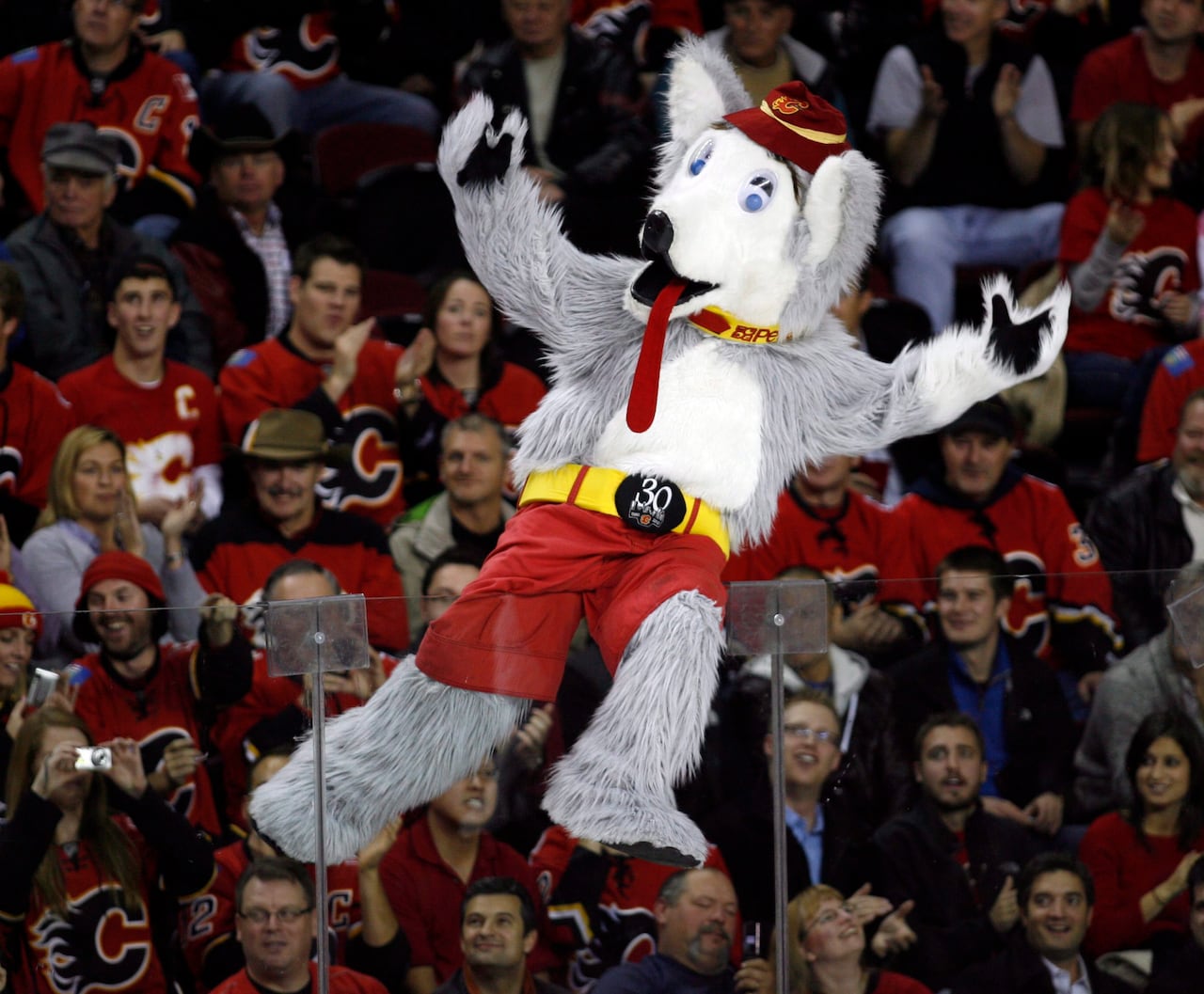Harvey the Hound hopes to be top dog in Mascot Hall of Fame