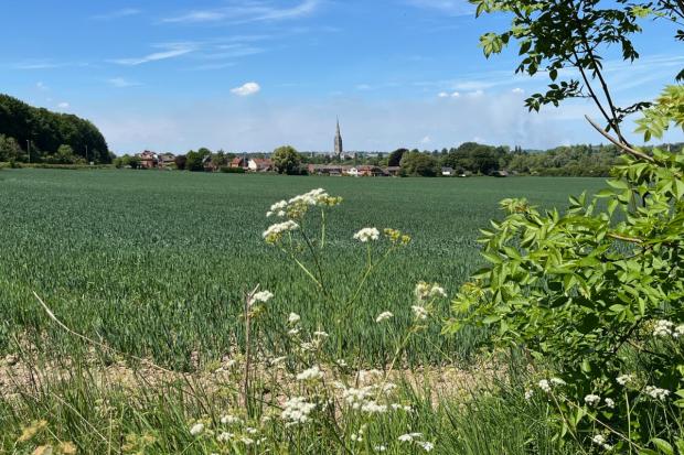 'Flooding is a risk for us' - City council objects to homes in ‘green ...