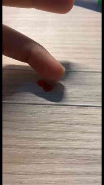 What Everyday Objects Look Like Under a Microscope