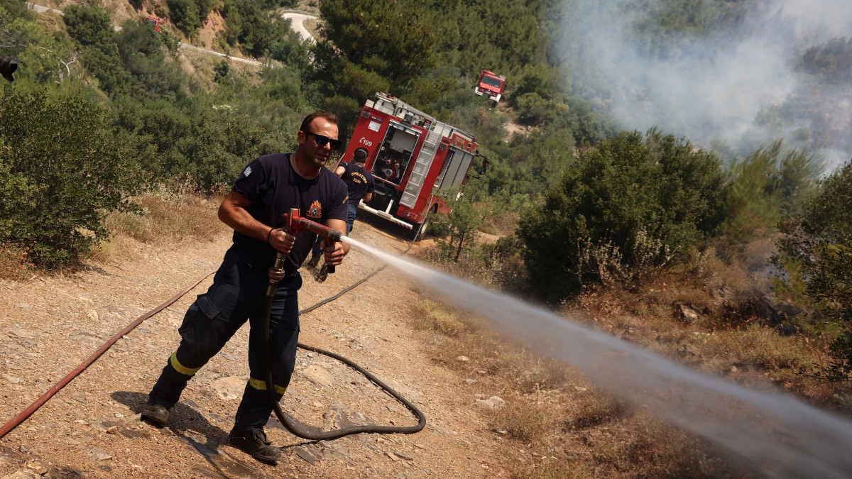 Υπό μερικό έλεγχο η φωτιά στην Ανάφη: Κινητοποιήθηκαν δυνάμεις από ...