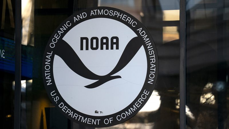 NOAA predicts above average 2025 hurricane season: How many storms US could see