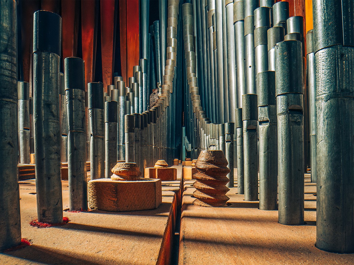 Probe lenses and focus stacking: the secrets to incredible photos taken ...