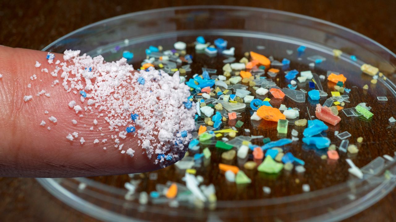Yes, You’re Eating Microplastics – Here’s How to Stop