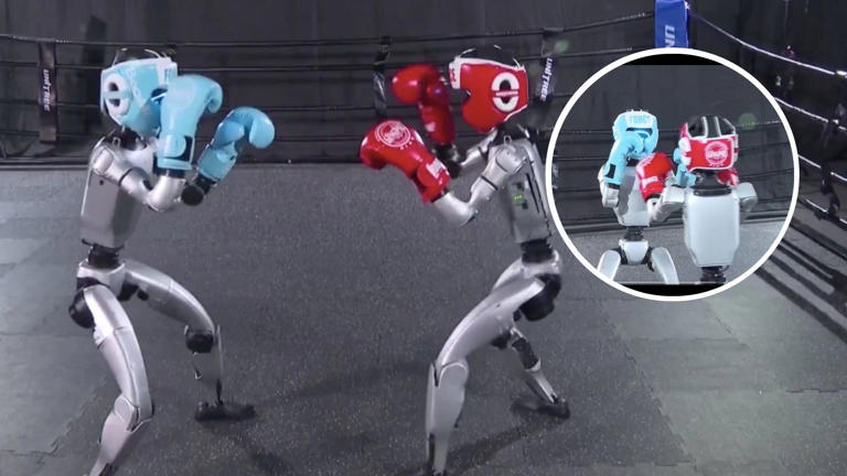 Chinese humanoids demonstrate aggressive combat skills ahead of world ...
