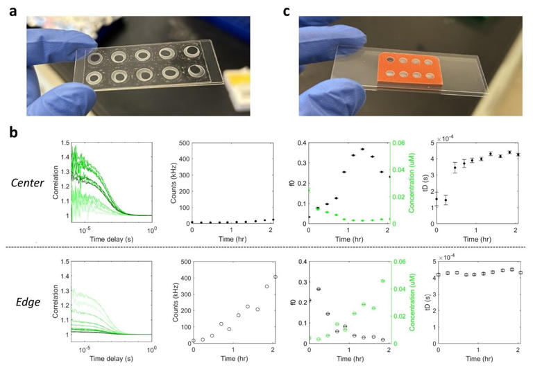 One-pot protein screening accelerates bioscience and drug discovery